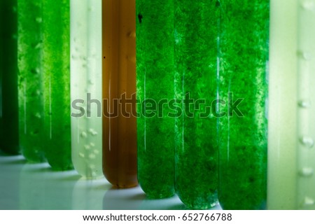 MICROALGAE-CULTURE Stock Photos and Images - Avopix.com