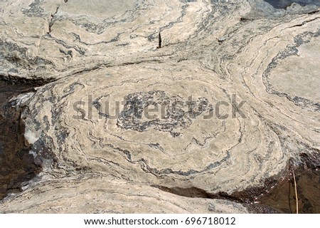EARLIEST-LIFE-FORM Stock Photos and Images - Avopix.com