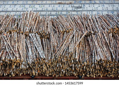Image Birch Logs Process Loading Timber Stock Photo 1453617599 ...