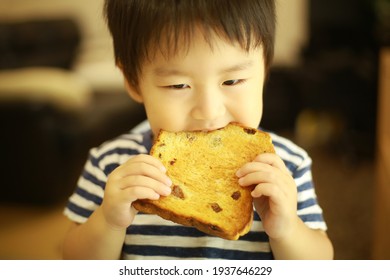 Image Boy Eating Bread Stock Photo 1937646229 | Shutterstock