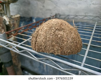 2,928 imágenes de Coconut kernel - Imágenes, fotos y vectores de stock ...