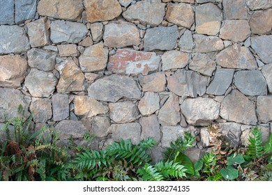 Stock Photo and Image Portfolio by Miki stock Photo | Shutterstock