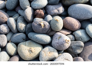 186 Rolled on pebble beach Images, Stock Photos & Vectors | Shutterstock