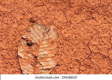 47,809 Red soil landscape Images, Stock Photos & Vectors | Shutterstock