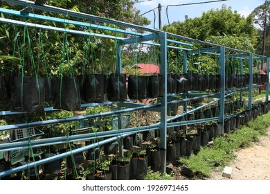924 Fertigation Images, Stock Photos & Vectors | Shutterstock