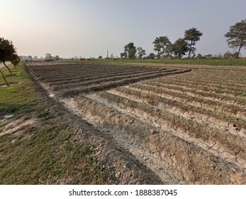 Image Typical Farming Method Stock Photo 1888387045 | Shutterstock