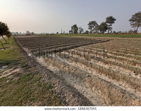 Image Typical Farming Method Stock Photo 1888387045 | Shutterstock