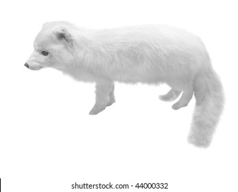Image White Fox Under Light Background Stock Photo 44000332 | Shutterstock