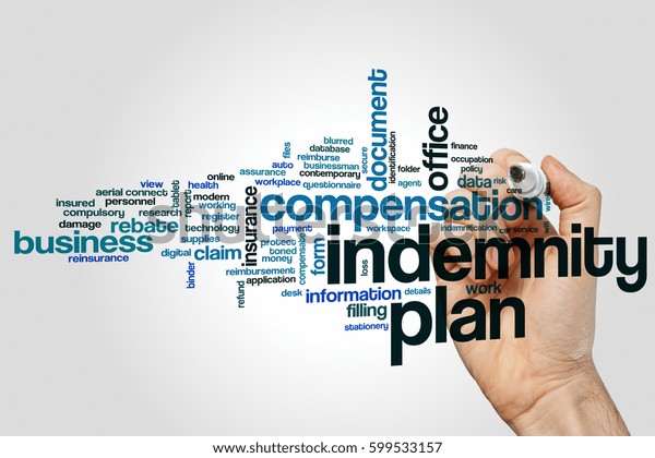 Indemnity Plan Word Cloud Concept Stock Photo 599533157 | Shutterstock