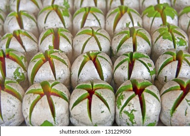 46,798 Indian sweets on plate Images, Stock Photos & Vectors | Shutterstock
