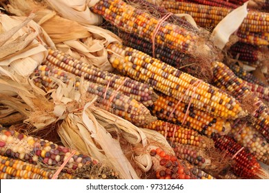 Indian Corn Stock Photo 97312646 | Shutterstock
