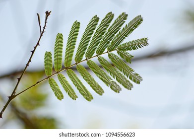 Stock Photo and Image Portfolio by Bhushan Vijay Mahajan | Shutterstock