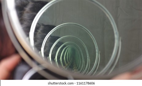 4,594 Warped mirror Images, Stock Photos & Vectors | Shutterstock