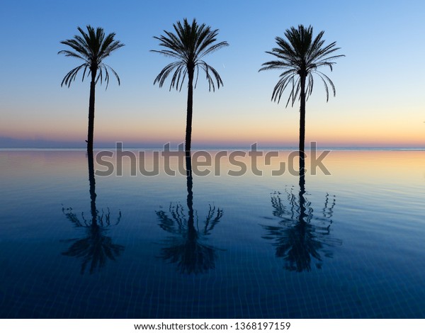 Infinity Pool Sea Stock Photo (Edit Now) 1368197159