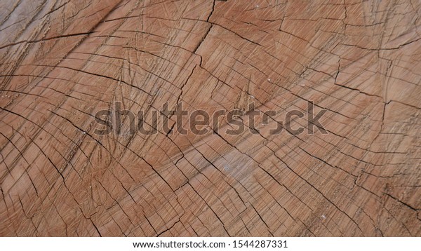 Inner Wood Texture Suitable Background Stock Photo 1544287331 ...