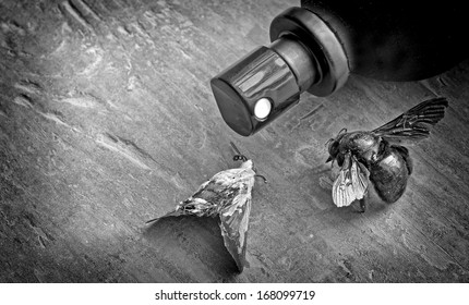 Insecticide Stock Photo 168099719 | Shutterstock