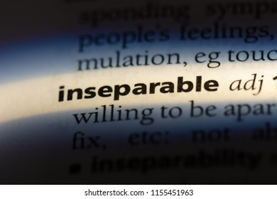 2,835 imágenes de Inseparable - Imágenes, fotos y vectores de stock ...
