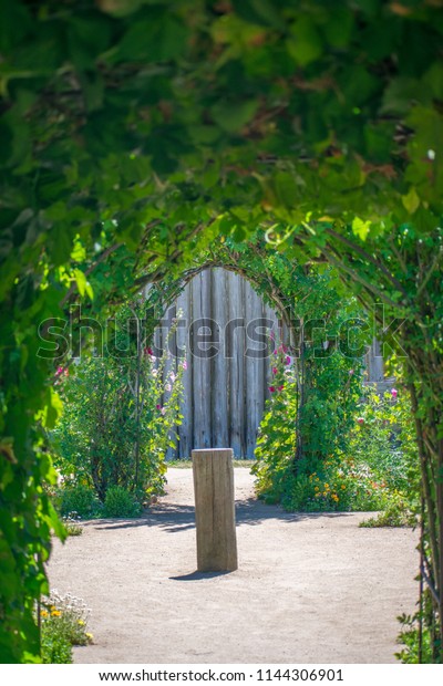 Inside Green Arbor Stock Photo 1144306901 | Shutterstock