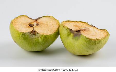 233 Inside Rotten Apple Images, Stock Photos & Vectors | Shutterstock