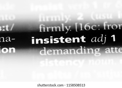 Insistent Word Dictionary Insistent Concept Stock Photo 1158508513 ...