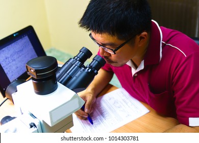 Inspection Microstructure Optical Microscope Stock Photo 1014303781 ...