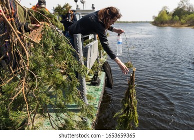 1,680 Spawning ground Images, Stock Photos & Vectors | Shutterstock