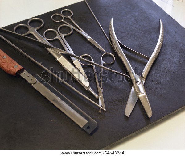 Instruments Autopsybiopsy Stock Photo (Edit Now) 54643264
