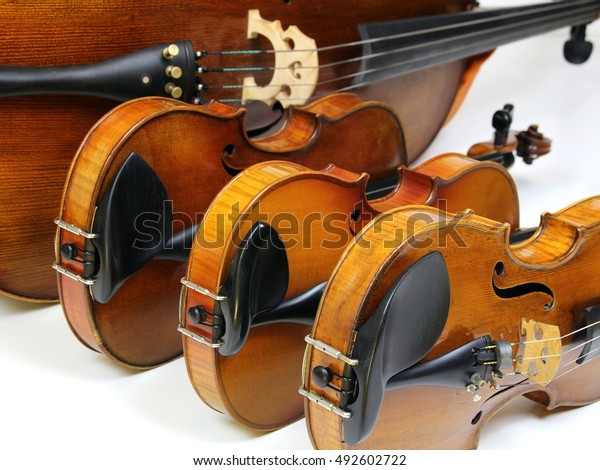 Instruments String Quartet Row Two Violins Stock Photo (Edit Now) 492602722