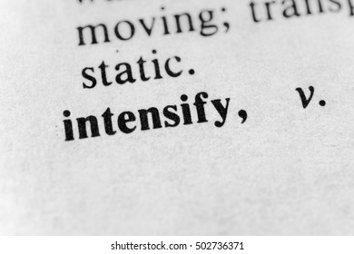 Intensify Stock Photo 502736371 | Shutterstock
