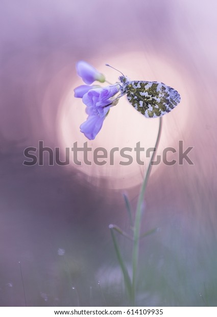 40 Inter Terrestrial Images, Stock Photos & Vectors | Shutterstock