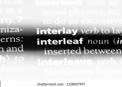 Mock Word Dictionary Mock Concept Stock Photo 1158497809 | Shutterstock
