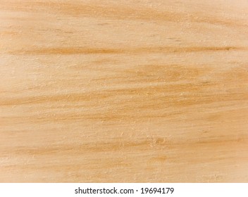 Internal Structure Tree Stock Photo 20059885 | Shutterstock