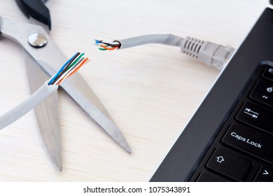 Internet Cable Connected Laptop Computer Cut Stock Photo 1075343891 ...