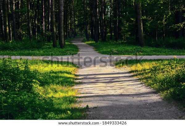 Intersection Paths Park Two Alleys Sun Stock Photo 1849333426 ...