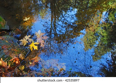 301 Inverted Tree Of Life Images, Stock Photos & Vectors | Shutterstock