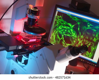 130 Inverted microscope Images, Stock Photos & Vectors | Shutterstock