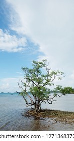 Stock Photo and Image Portfolio by Thanawat Sroipayom | Shutterstock