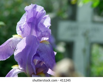 72 Iris Dies Images, Stock Photos & Vectors | Shutterstock