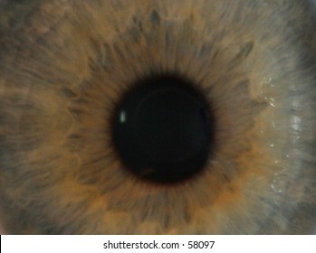 Iris Pupil Stock Photo 58097 | Shutterstock