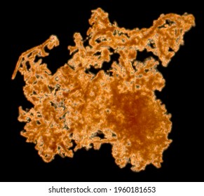 Iron Bacteria Images, Stock Photos & Vectors | Shutterstock