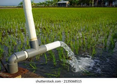 Irrigation rice farming Images, Stock Photos & Vectors | Shutterstock