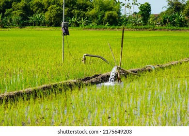 Irrigation Rice Fields Using Pump Wells Stock Photo 2175649203 ...
