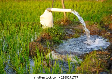 Irrigation Rice Fields Using Pump Wells Stock Photo 2180291777 ...