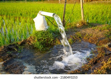 Irrigation Rice Fields Using Pump Wells Stock Photo 2180493253 ...