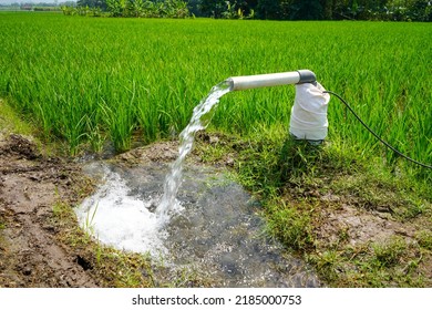 1,185 Rice water supply Images, Stock Photos & Vectors | Shutterstock