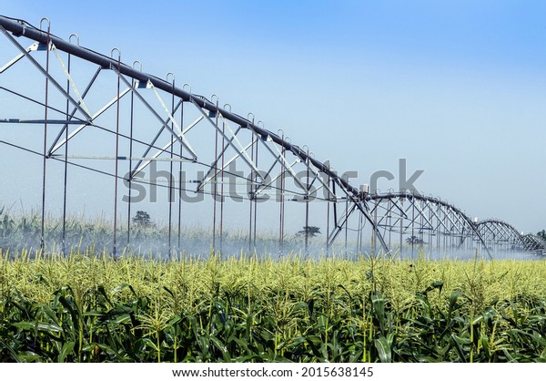 Irrigation System On Corn Field Stock Photo 2015638145 | Shutterstock