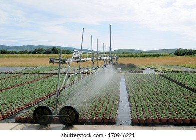 Horticulture irrigation system 2,561 รายการ ภาพ ภาพสต็อกและเวกเตอร์ ...