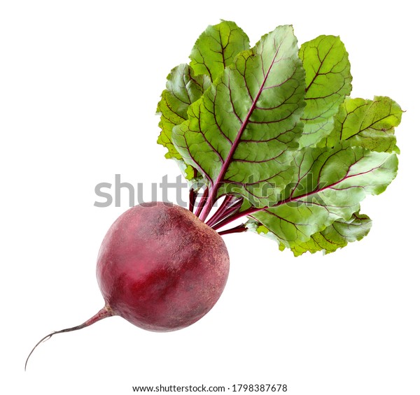 60,622 imágenes de Beet isolated - Imágenes, fotos y vectores de stock ...