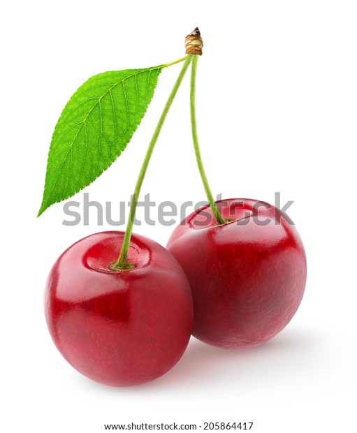 Isolated Cherries Pair Sweet Cherry Fruits Stock Photo (Edit Now) 205864417 Isolated Cherries Pair Sweet Cherry Fruits Stock Photo (Edit Now) 205864417