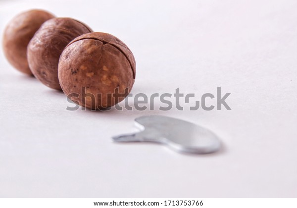 Isolated Macadamia Nuts Key On White Stock Photo 1713753766 | Shutterstock